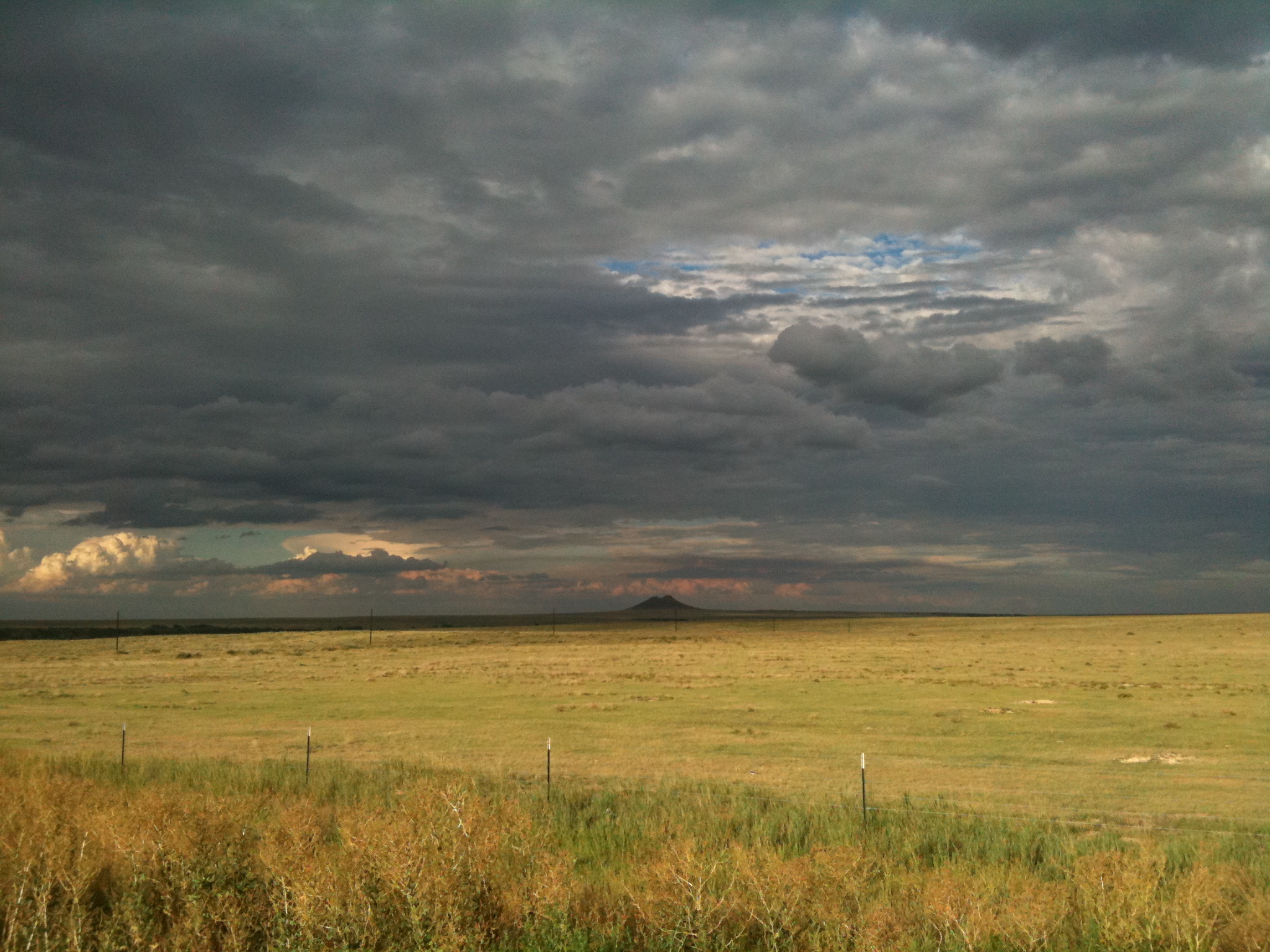 landscape | ecotopes