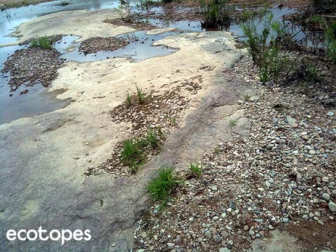 slab_llano_river_e | ecotopes