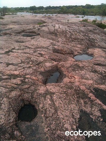 slab_llano_river_h | ecotopes