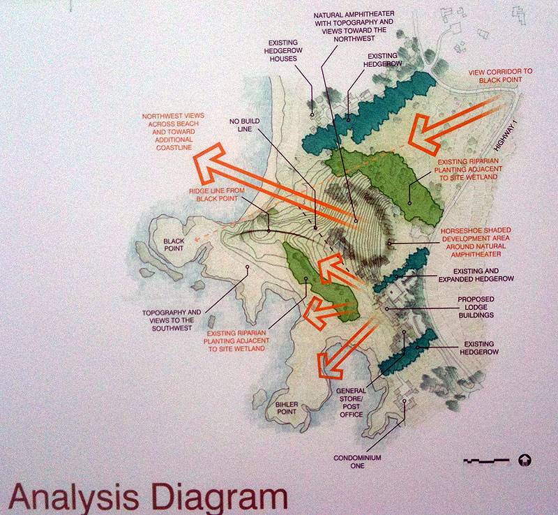 sea_ranch_site_analysis | ecotopes