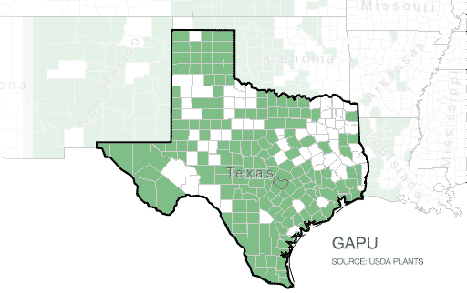 GAPU (indian blanket) | ecotopes