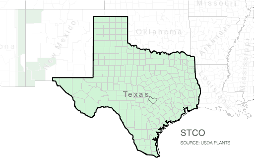 STCO (texas betony) | ecotopes
