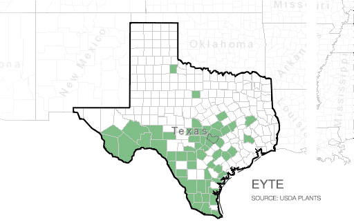 EYTE (kidneywood) | ecotopes