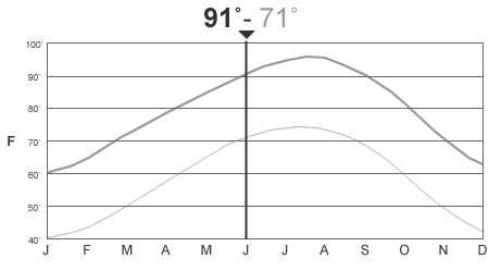 vernal growth | ecotopes