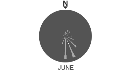 vernal growth | ecotopes
