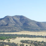 desert-bajada | ecotopes