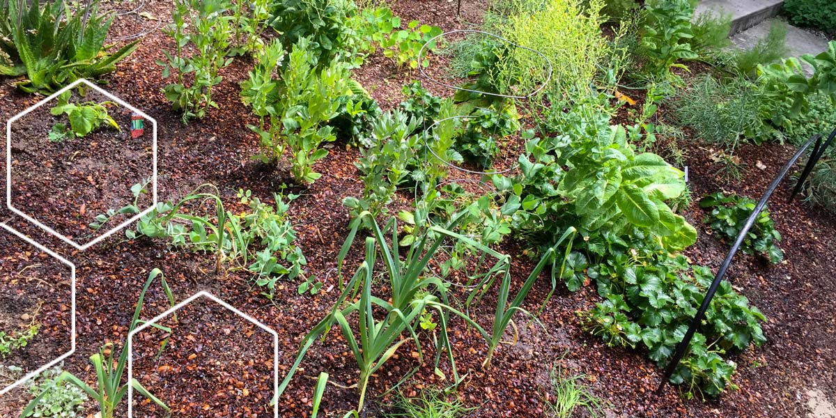 outdoor-culinary-11 | ecotopes