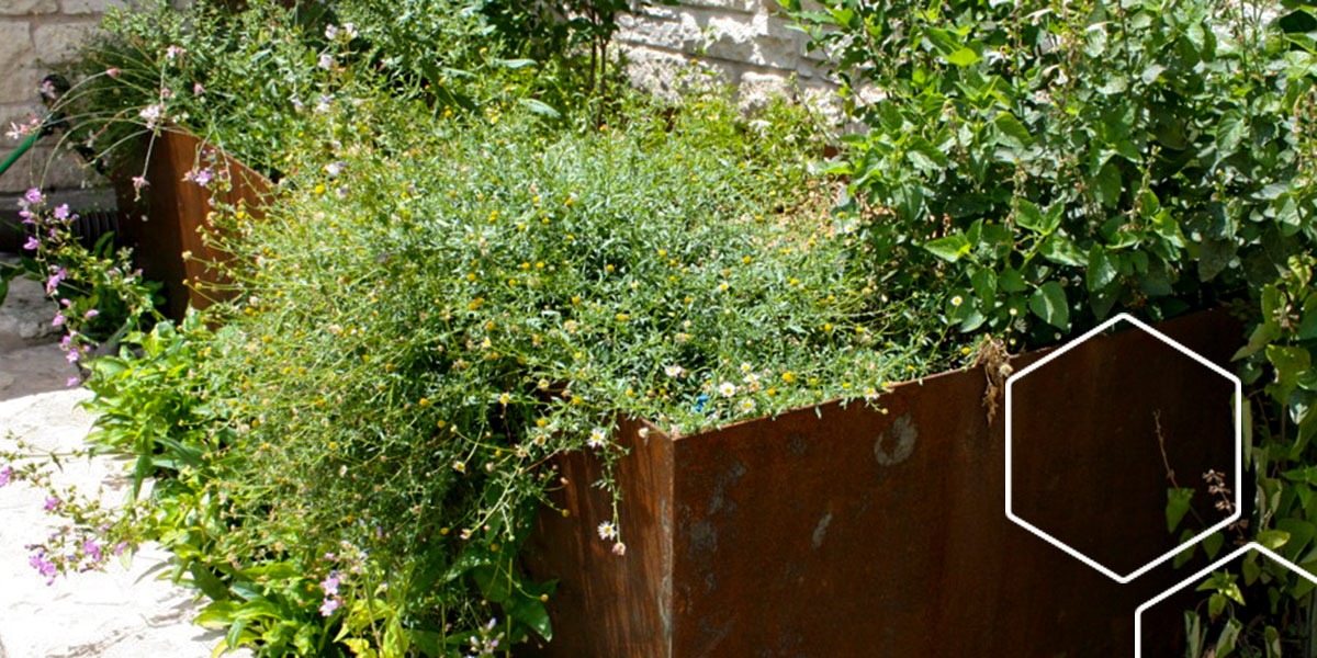 planter-1 | ecotopes