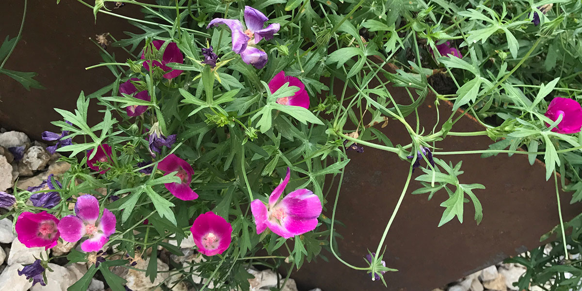 planter-2 | ecotopes