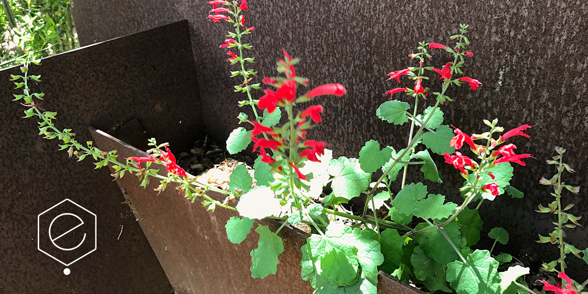 planter-3 | ecotopes