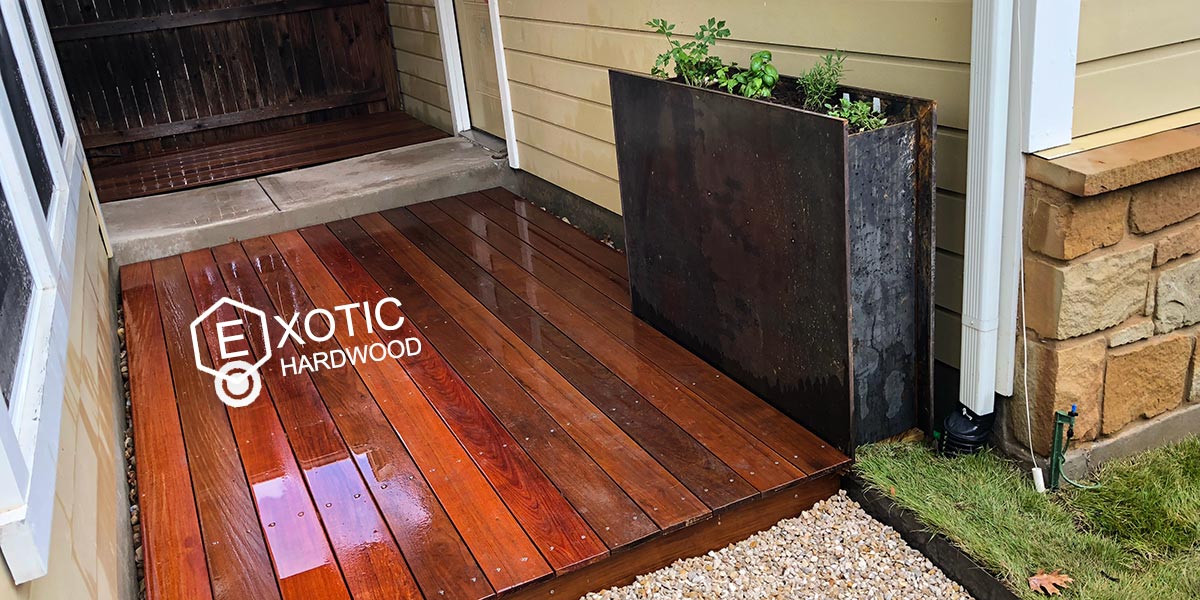 reasserted-2 | ecotopes