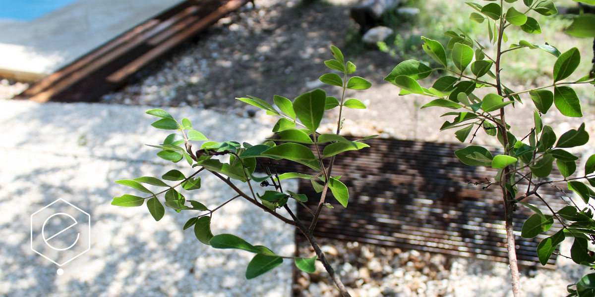 threshold-12 | ecotopes