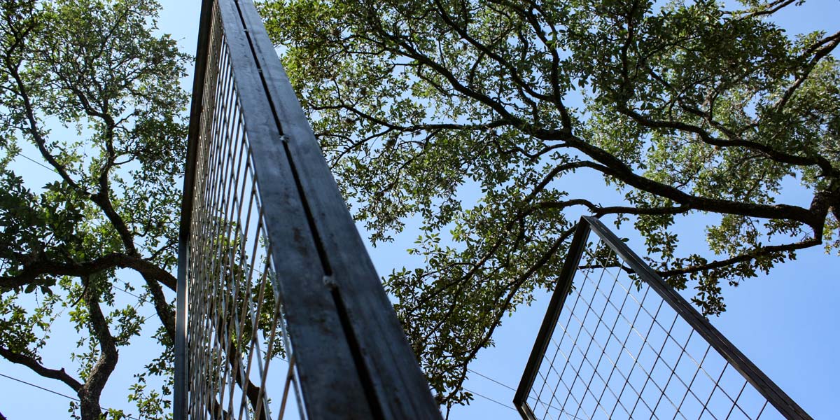 vertical-screens-12WEB | ecotopes