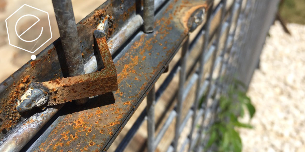 vertical-screens-5 | ecotopes