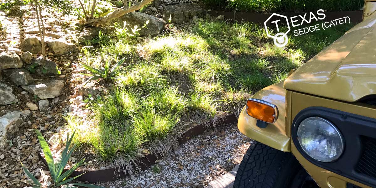 reconciled-with-reality-4 | ecotopes