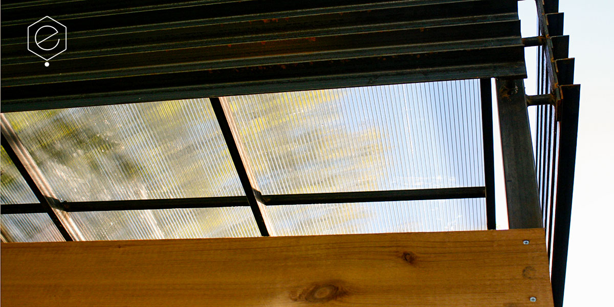 polygal-4 | ecotopes