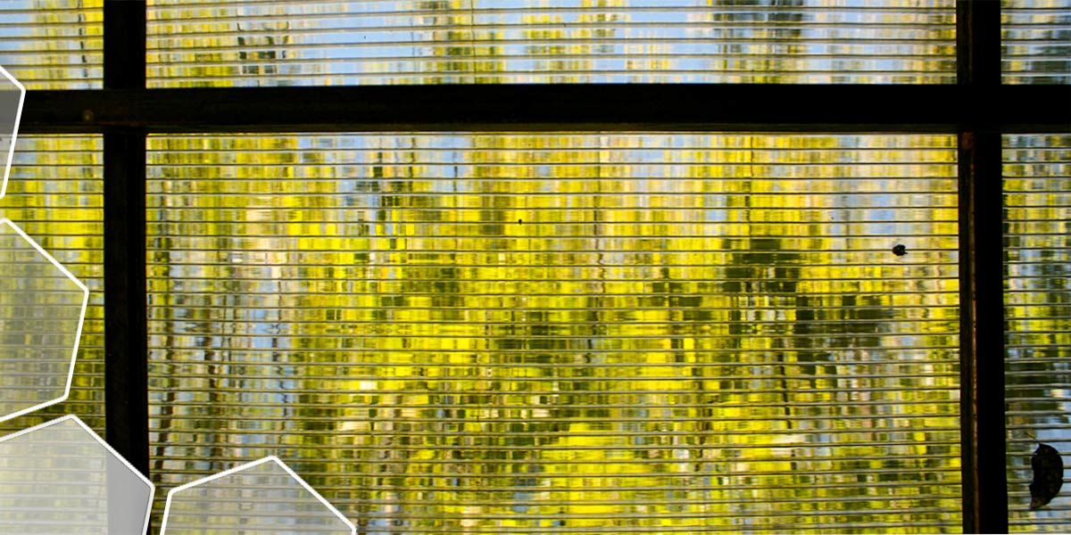 polygal-5 | ecotopes