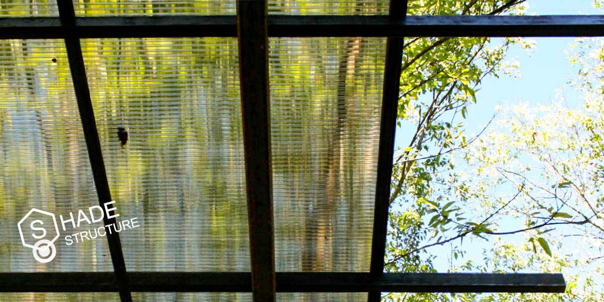 polygal-6 | ecotopes