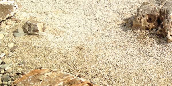 surface-limestone | ecotopes