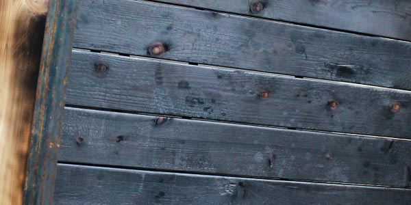 surface-shou | ecotopes