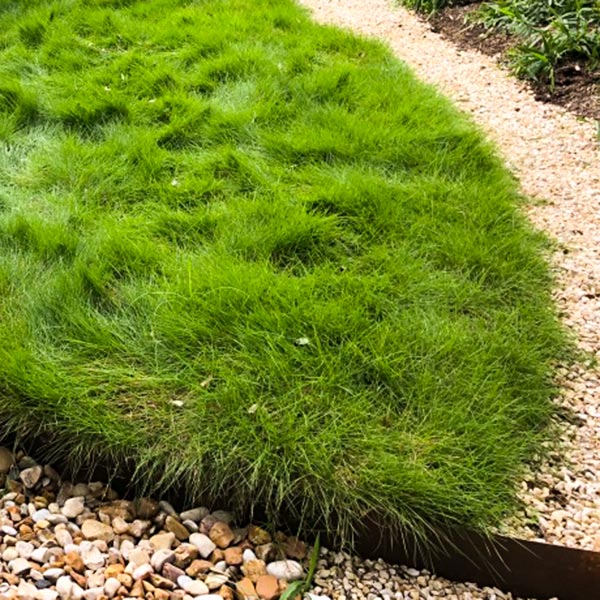 turf | ecotopes