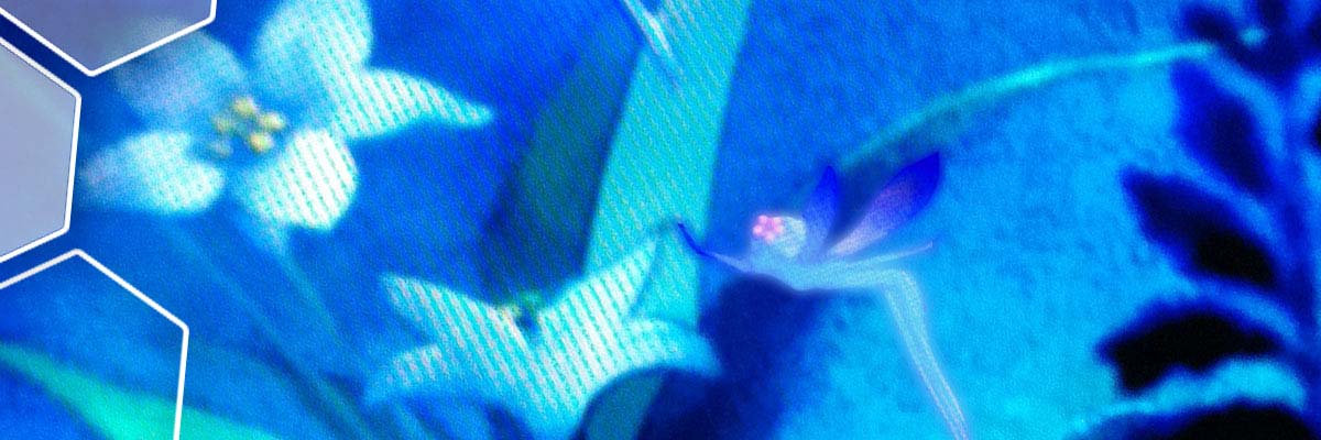 support-3 | ecotopes