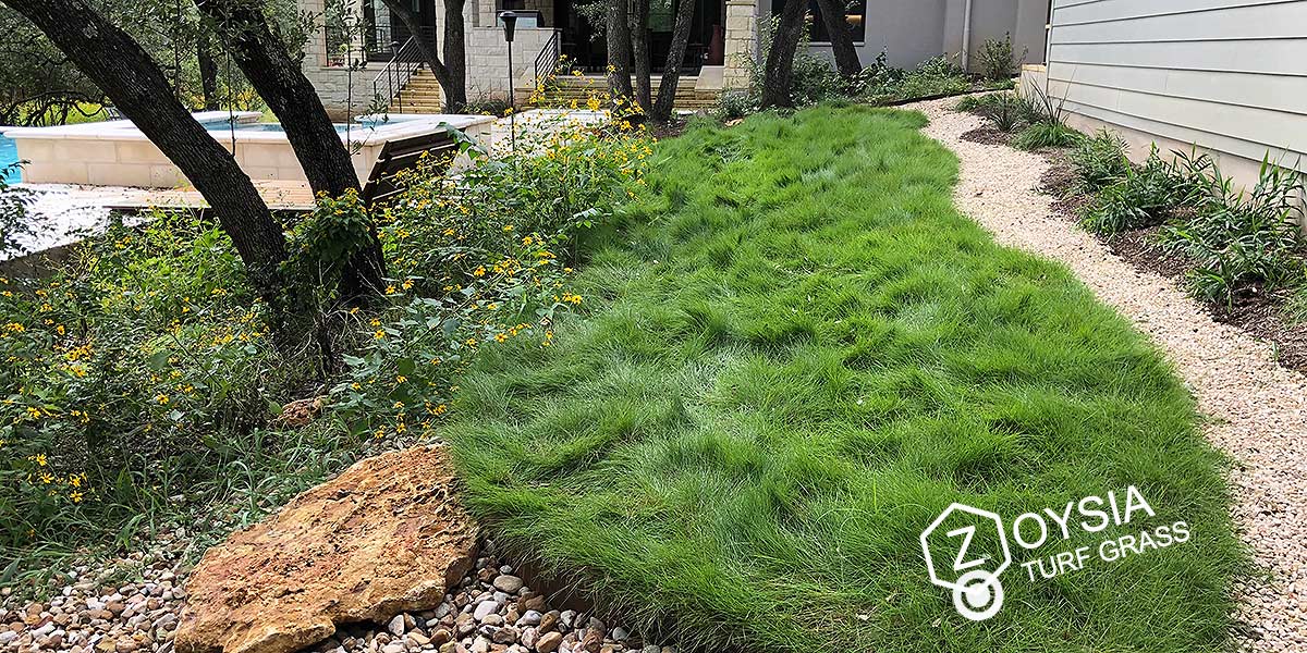 taylor-13 | ecotopes