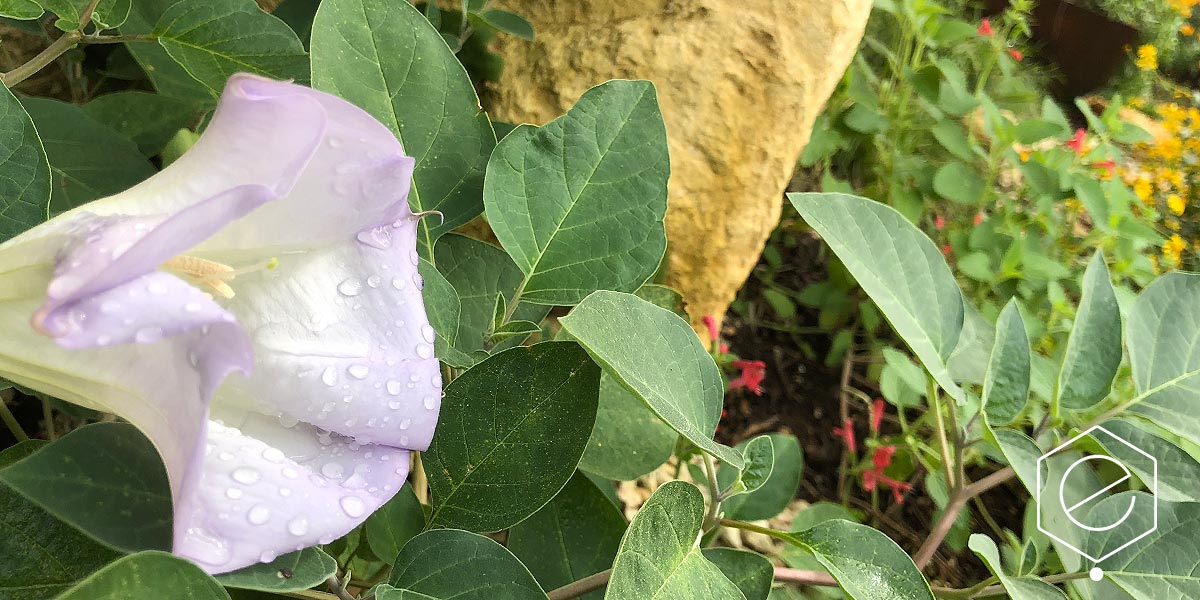 taylor-14 | ecotopes