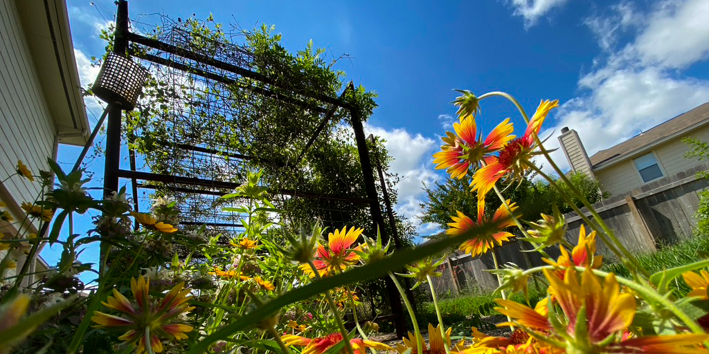 LC-get-started-bg | ecotopes