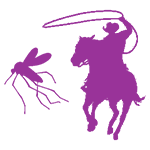 cowboy-roundup | ecotopes