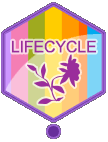 lifecycle-badge-mosquito | ecotopes