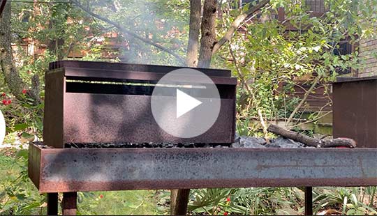 primordial-1 | ecotopes