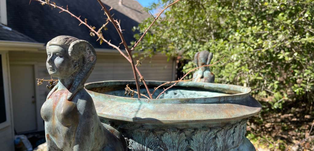 jack-simina-bg | ecotopes