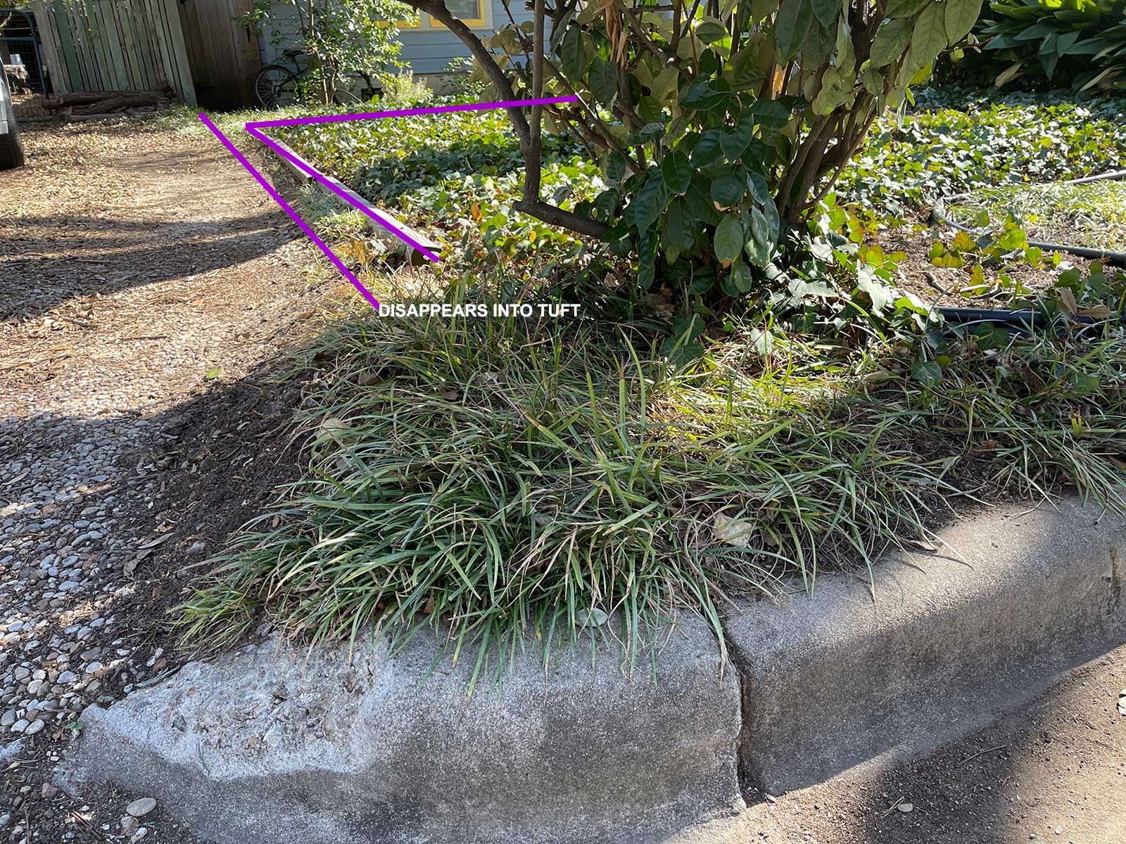 left-side2 | ecotopes