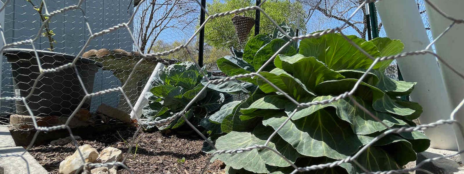 megan-pritts-bg | ecotopes