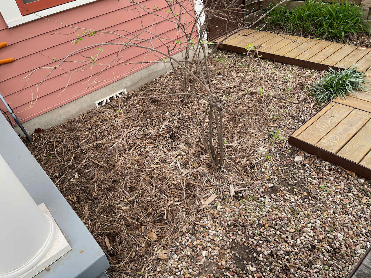 wilson – 18 | ecotopes