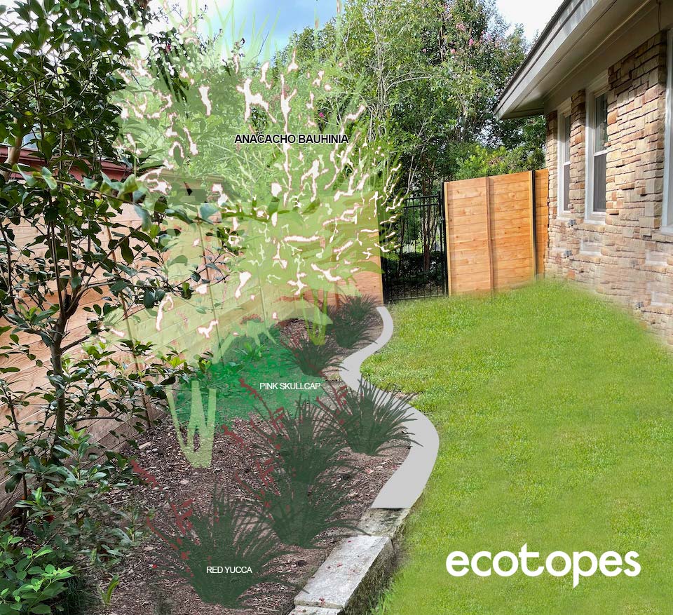 robinson-priscilla-persp1 | ecotopes