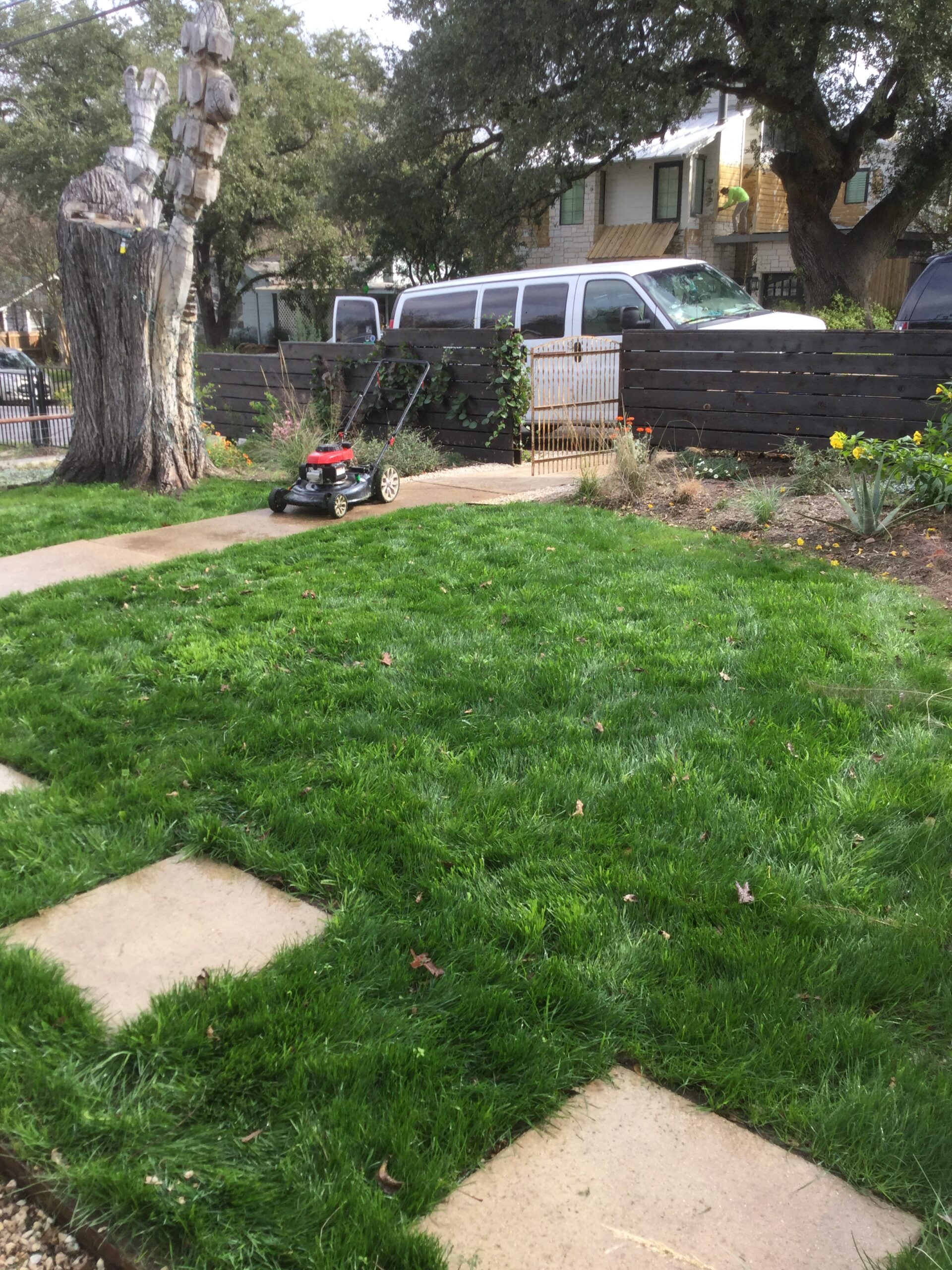 levin december 1 | ecotopes