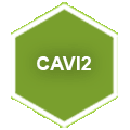 CAVI2-hex-veg-icon-maker | ecotopes