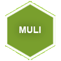 MULI-hex-veg-icon-maker | ecotopes