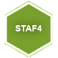 STAF4-hex-veg-icon-maker | ecotopes
